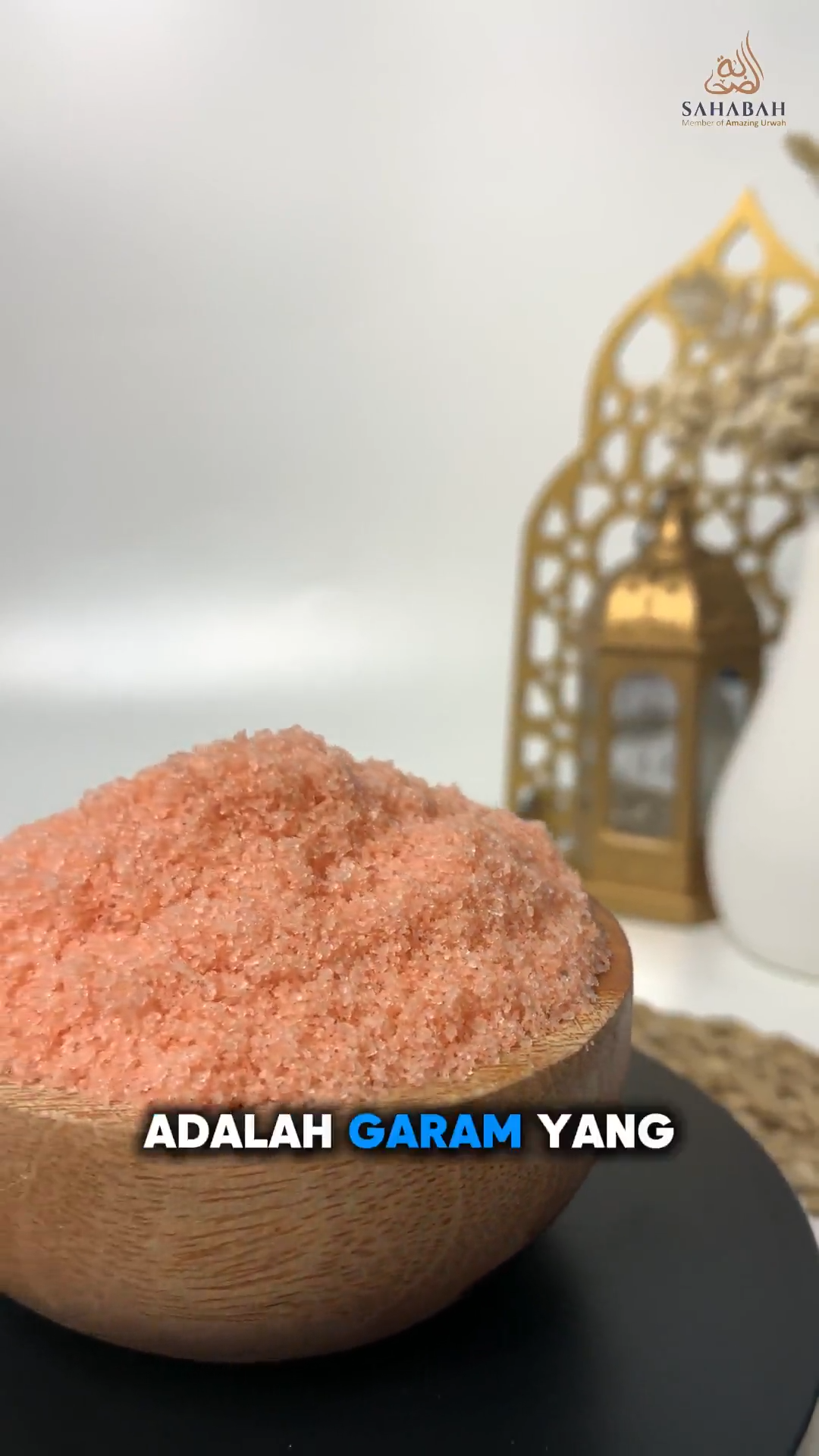 Garam Himalaya Organik Halus Kasar Himalayan Pink Salt Premium Asli ...