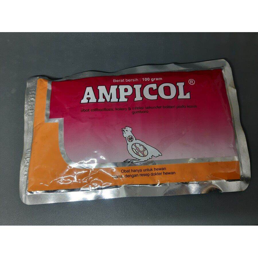 Ampicol 100 gram Obat Ayam Colibacillosis | Lazada Indonesia