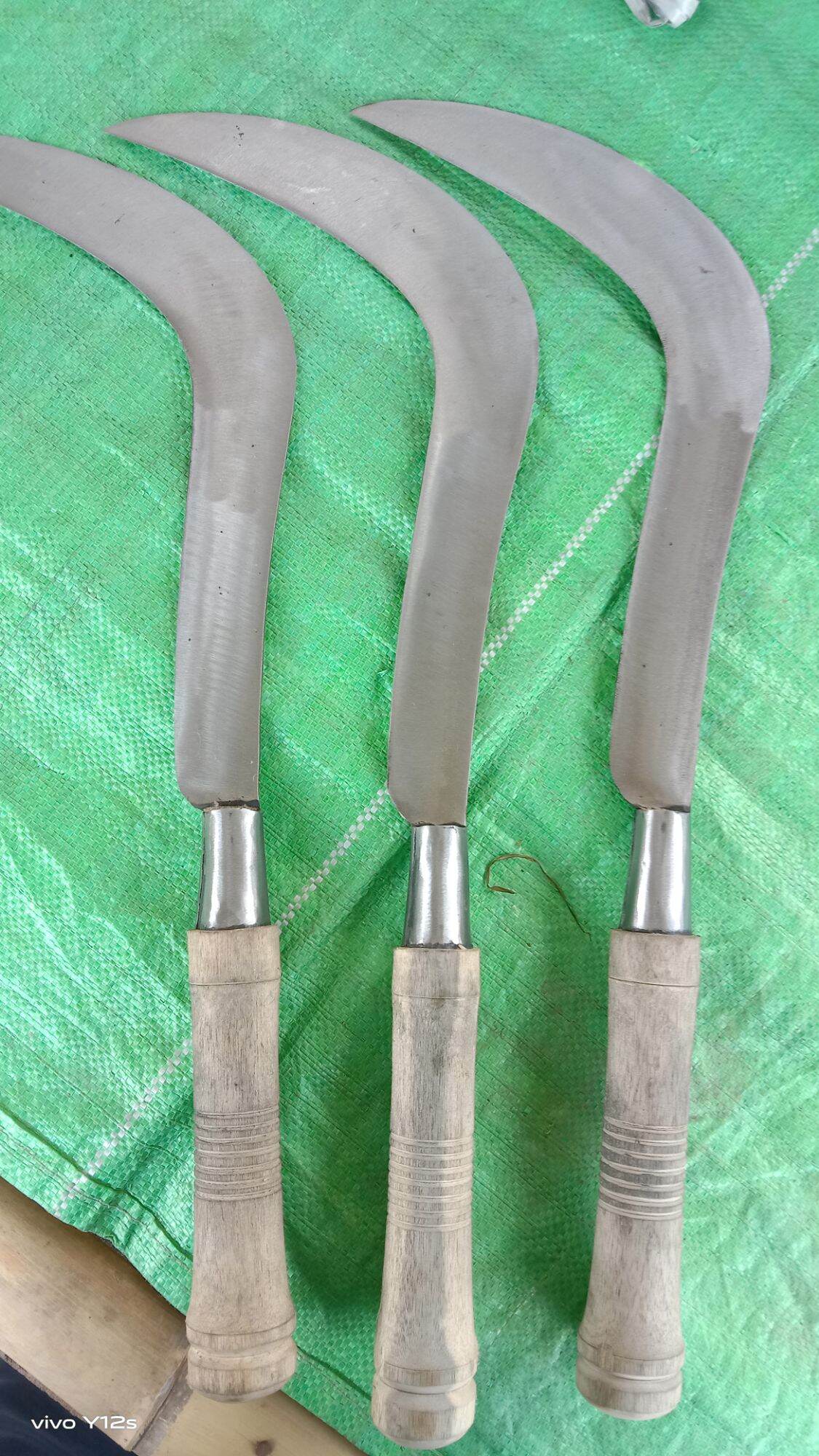 pelong / sabit tebu | Lazada Indonesia