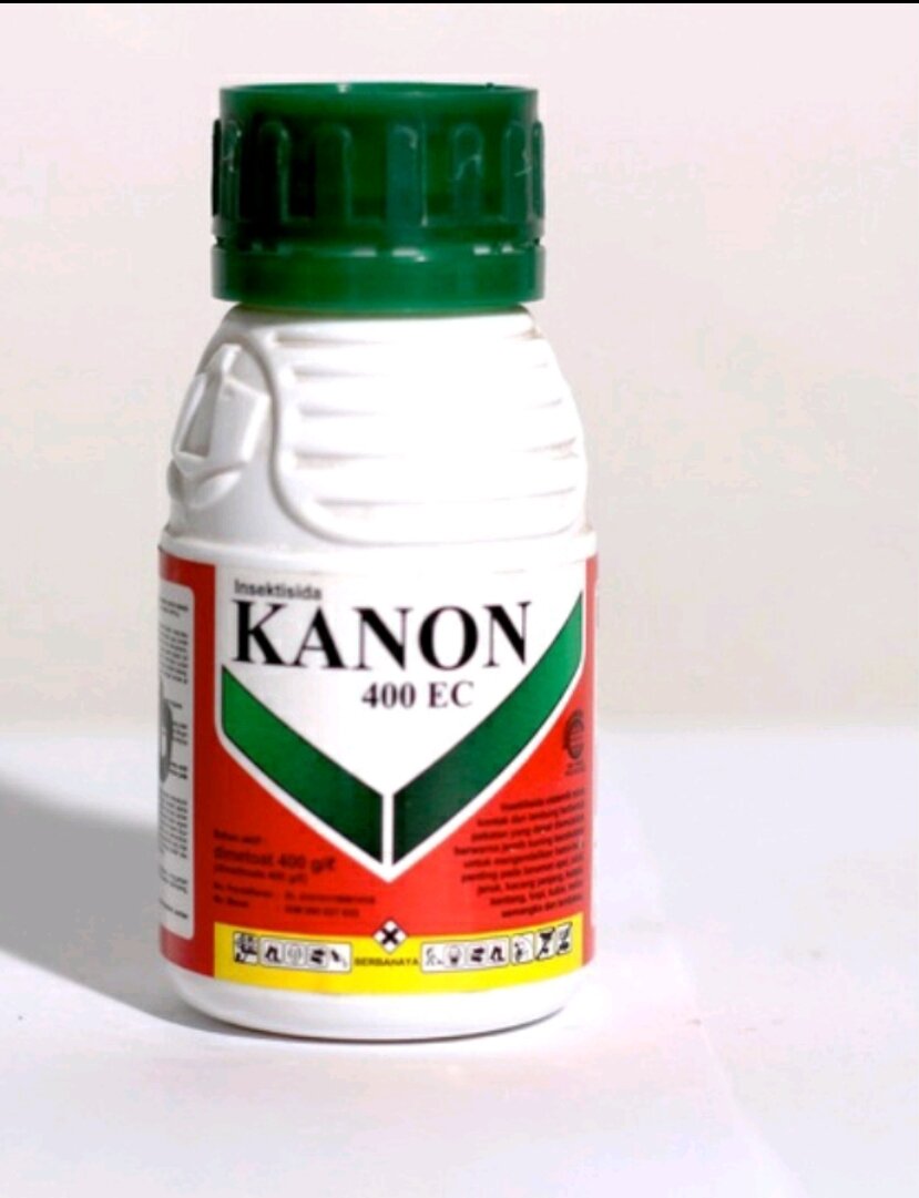 Insektisida KANON 400EC 100ML | Lazada Indonesia
