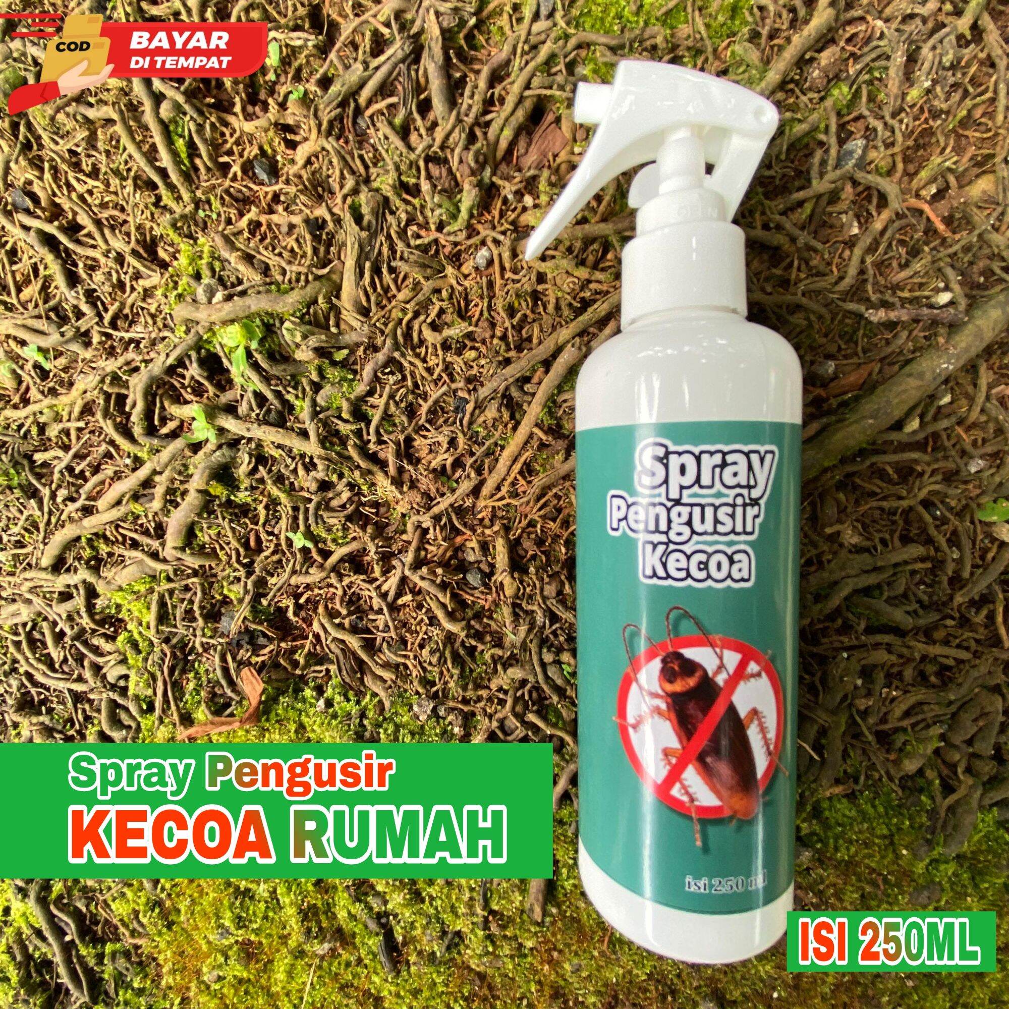 Spray Pengusir Kecoa | Pembasmi Kecoa | Anti Kecoa | Kecoa Rumah ...
