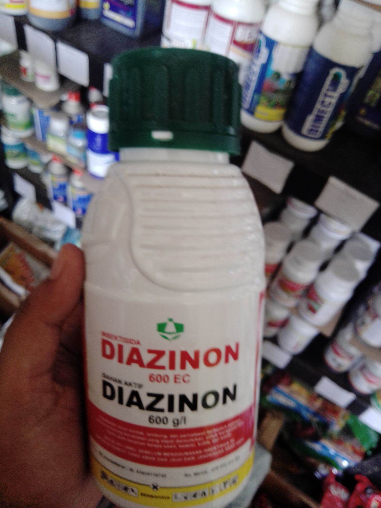 Diazinon 600 EC 500 ml insektisida basmi ulat grayak, perusak daun ...