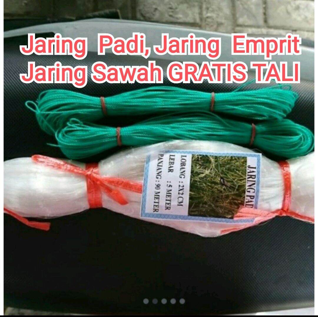 Jaring Padi, Jaring Emprit, Jaring Sawah, GRATIS TALI | Lazada Indonesia