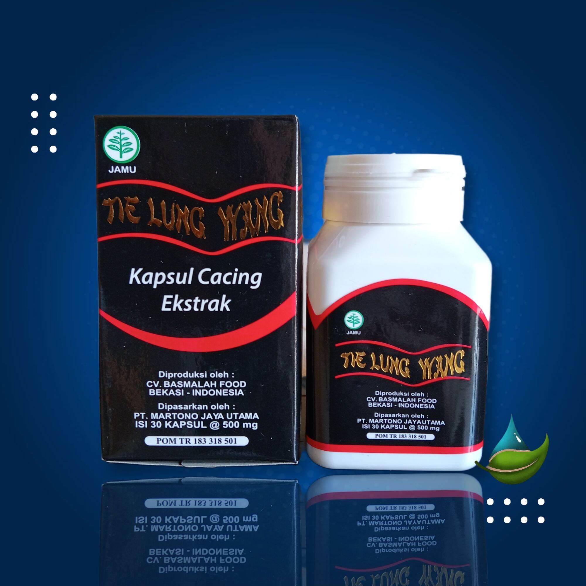 Kapsul typus Obat cina tradisional Extract cacing | Lazada Indonesia