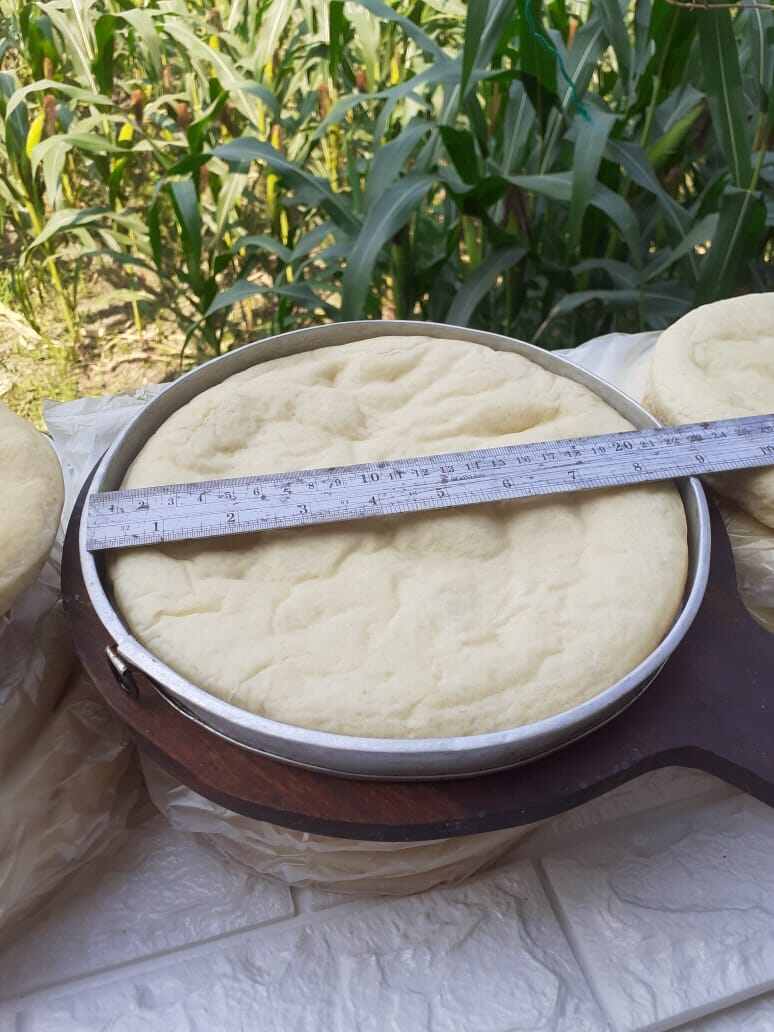 pizza isi 5 base pizza (roti pizza)kulit pizza | Lazada Indonesia