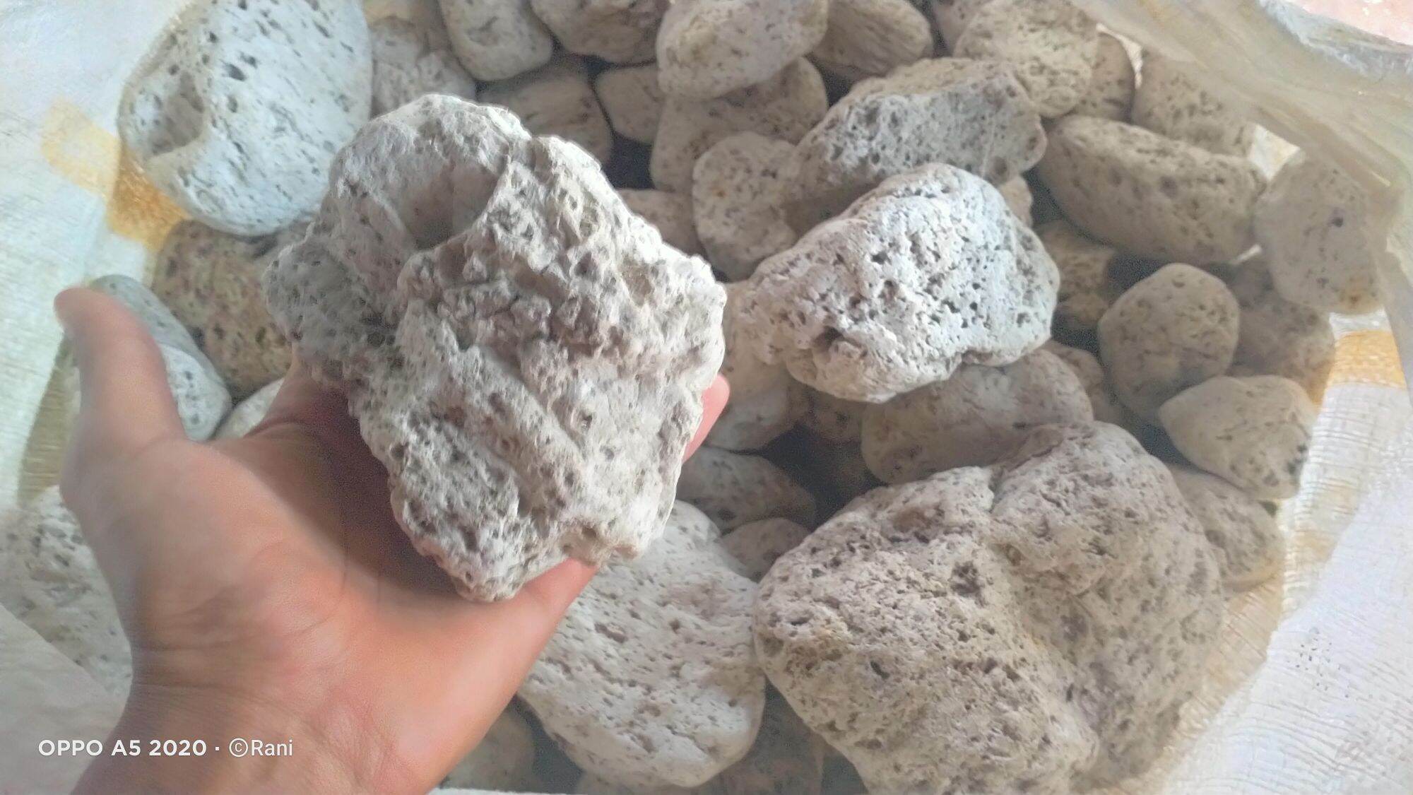 batu apung ukuran besar 2 kilogram | Lazada Indonesia