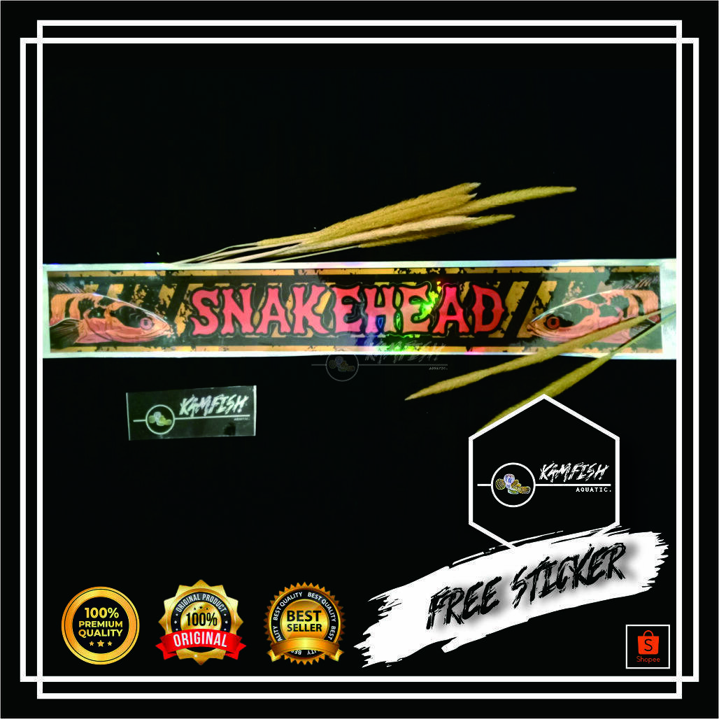 STIKER AQUARIUM PREDATOR CHANA / STICKER SNAKEHEAD | Lazada Indonesia