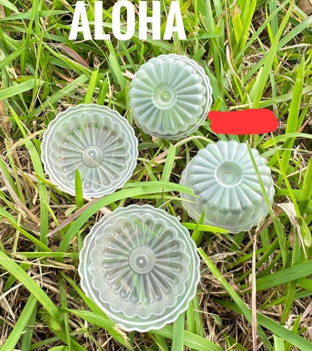 cetakan puding mini classic jelly | Lazada Indonesia