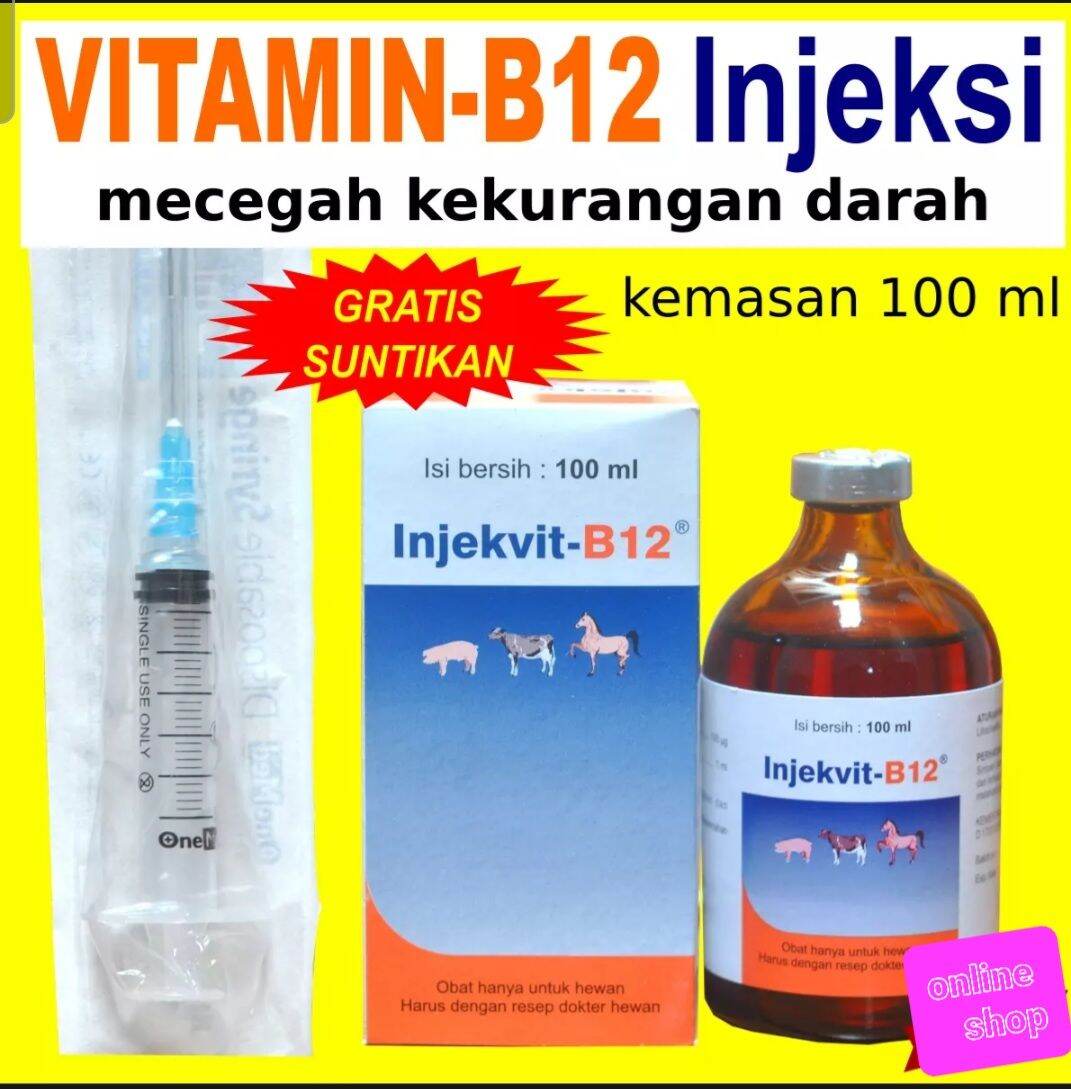 b12 100ml bonus suntik 3cc vitamin ayam burung kerbau sapi anjing ...