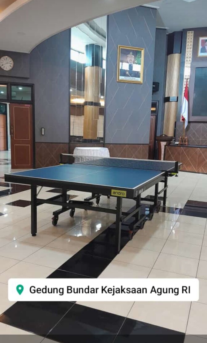 MEJA PINGPONG TENIS MEJA ANDRO ROLLER | Lazada Indonesia