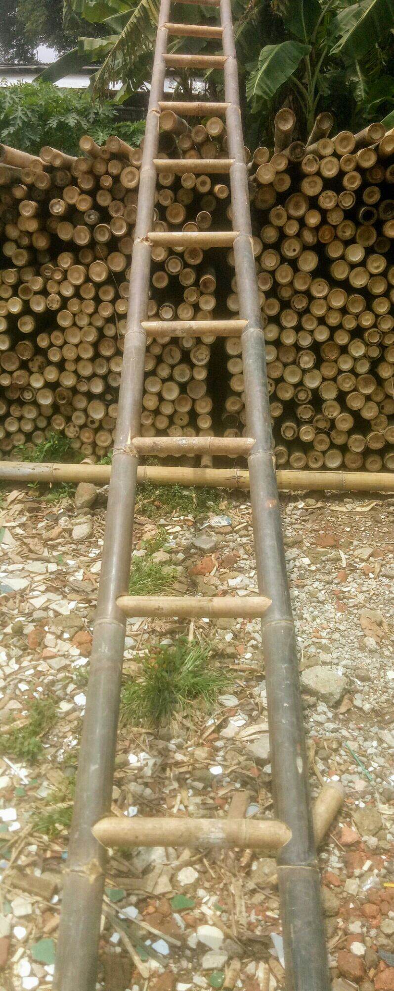 tangga bambu ,panjang 5 meter | Lazada Indonesia