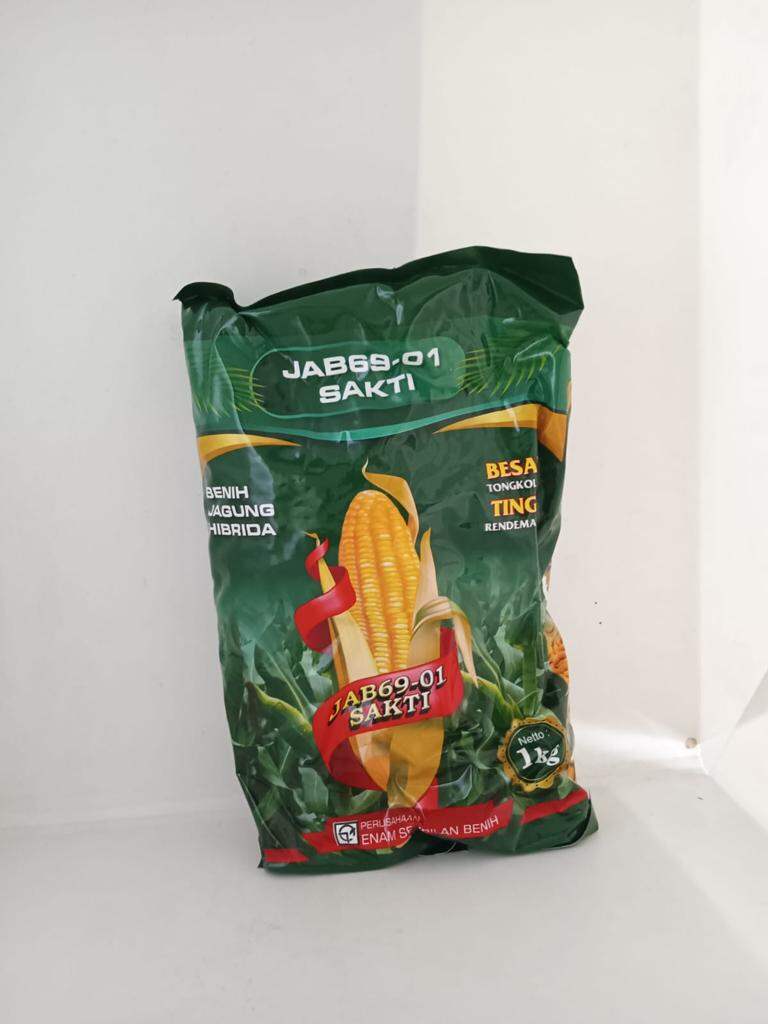 Benih jagung Jab69-01 Sakti 1kg bertongkol besar | Lazada Indonesia