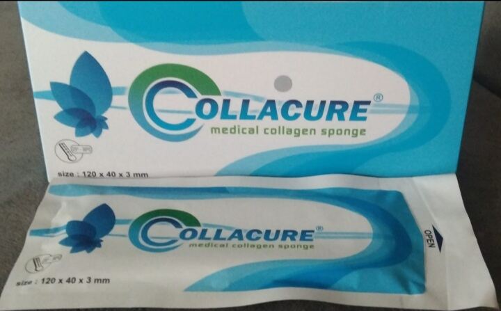 COLLACURE COLLAGEN SPONGE UKURAN 120*40*3Mm | Lazada Indonesia