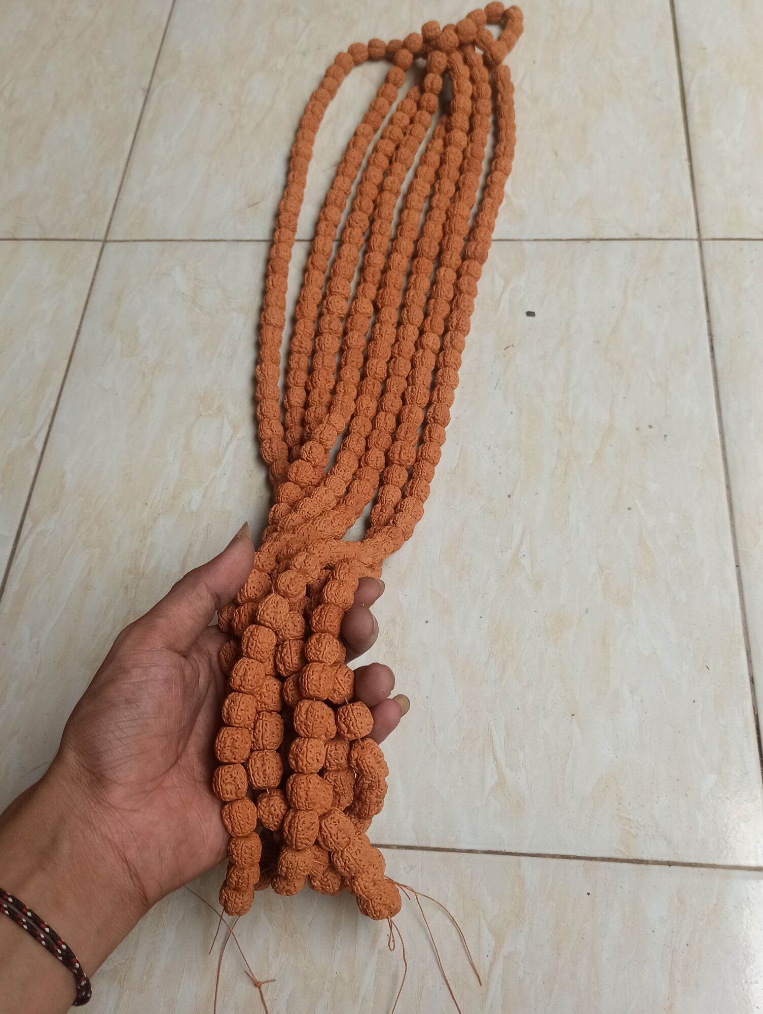 Biji genitri Jenitri ukuran jumbo 16mm | Lazada Indonesia