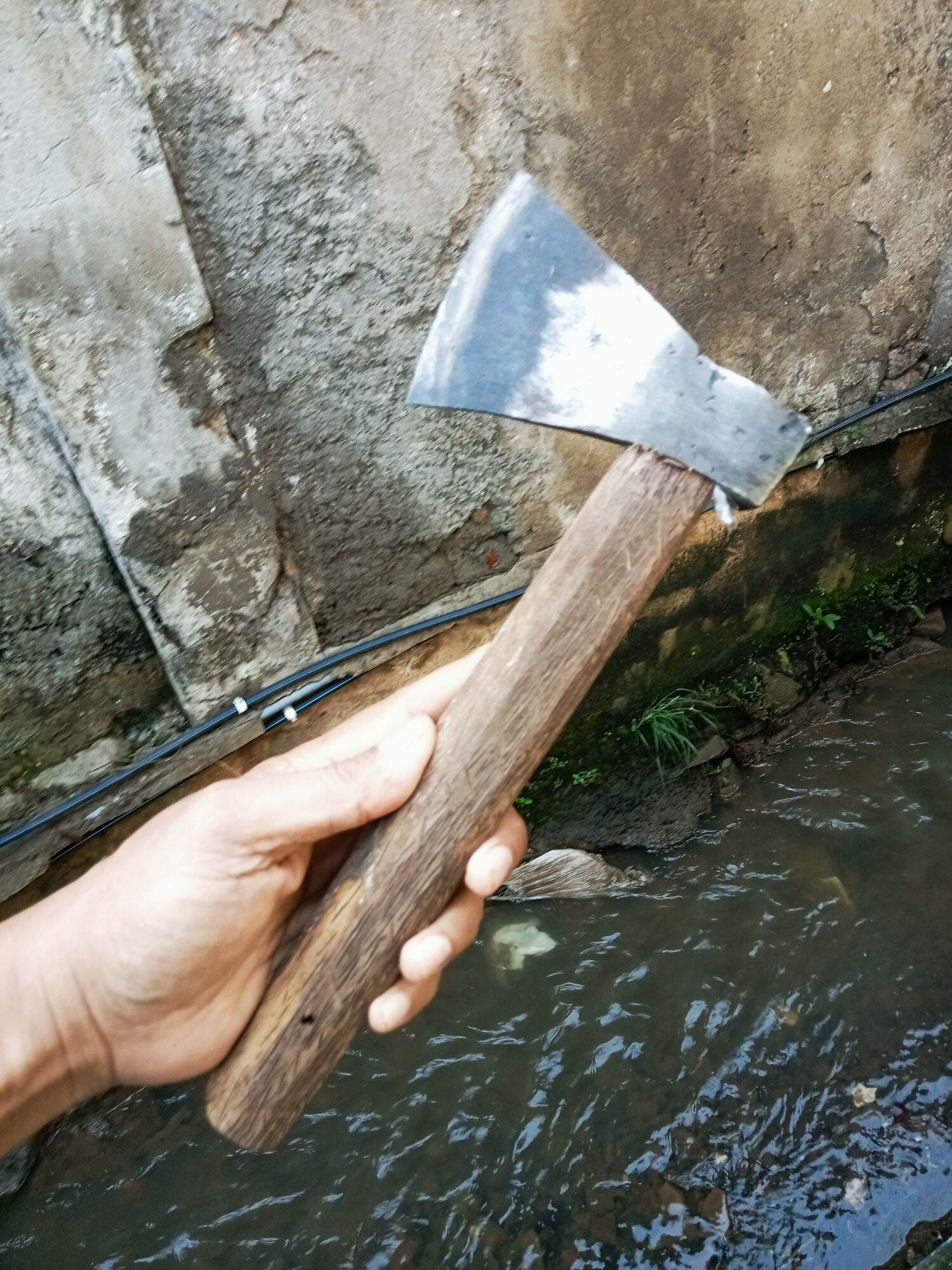 KAPAL CACAJ TULANG DAN DAGING UKURAN STADARD | Lazada Indonesia