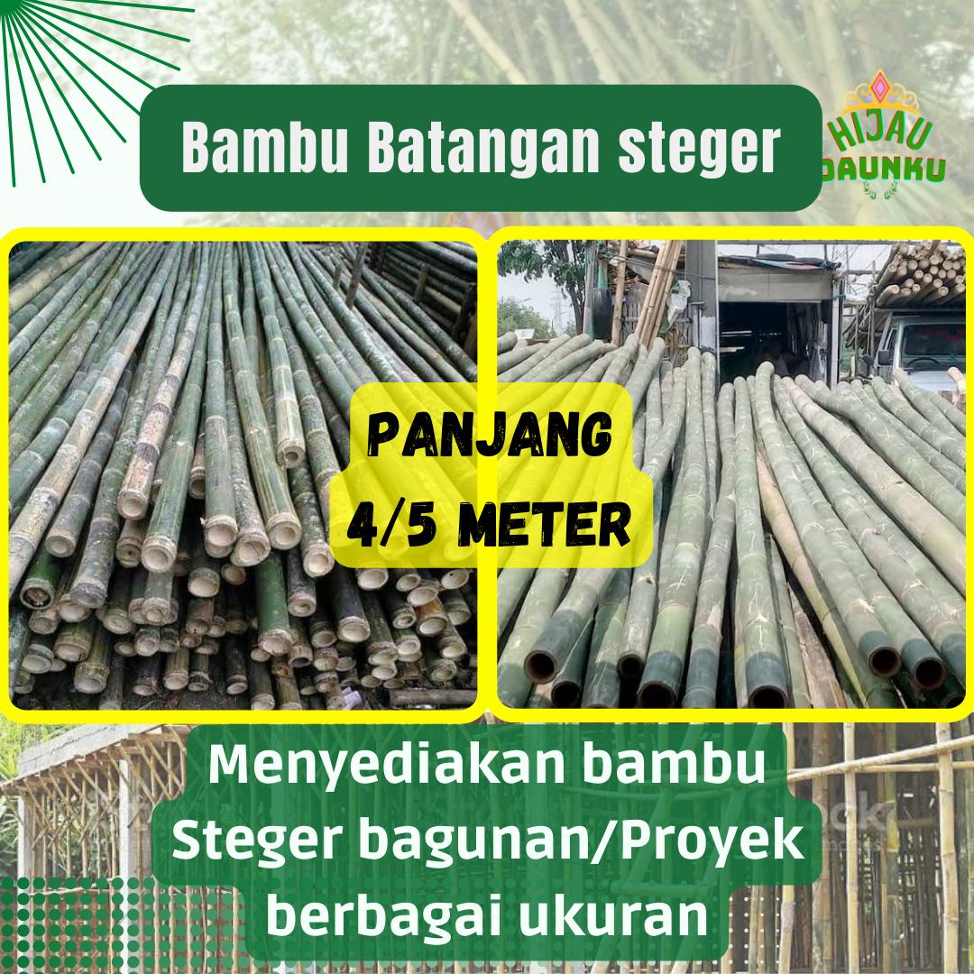 Bambu Batangan Steger Bangunan Atau Proyek Cor dan Kandang Diameter 8 ...