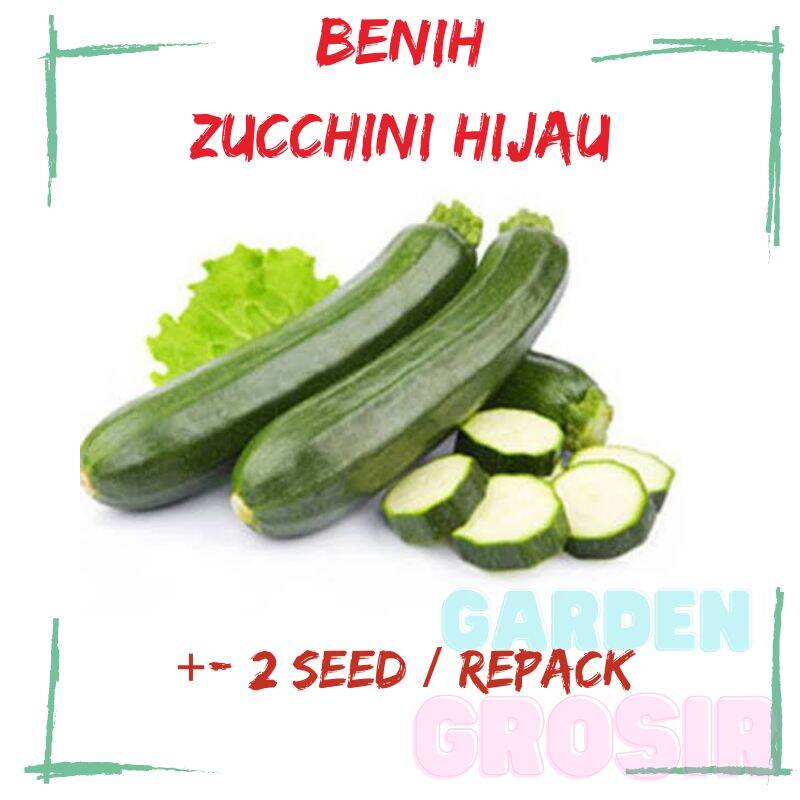 Benih Zucchini Hijau Jewel F1 Hibrida Bibit Sayuran Timun Jepang ...