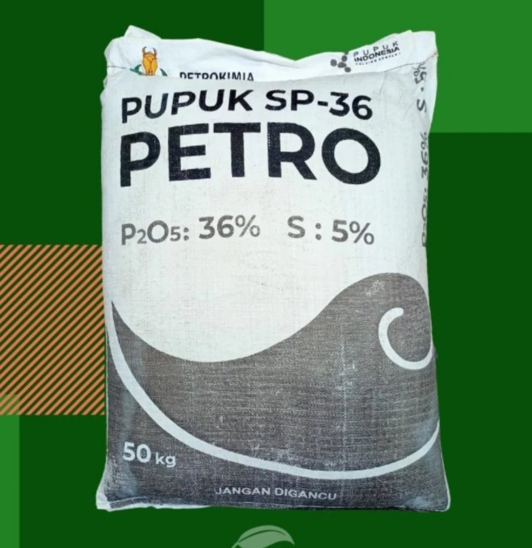 Pupuk PETRO SP-36 SUPER FOSFAT 1 kg, Percepat tumbuh akar daun bunga a ...