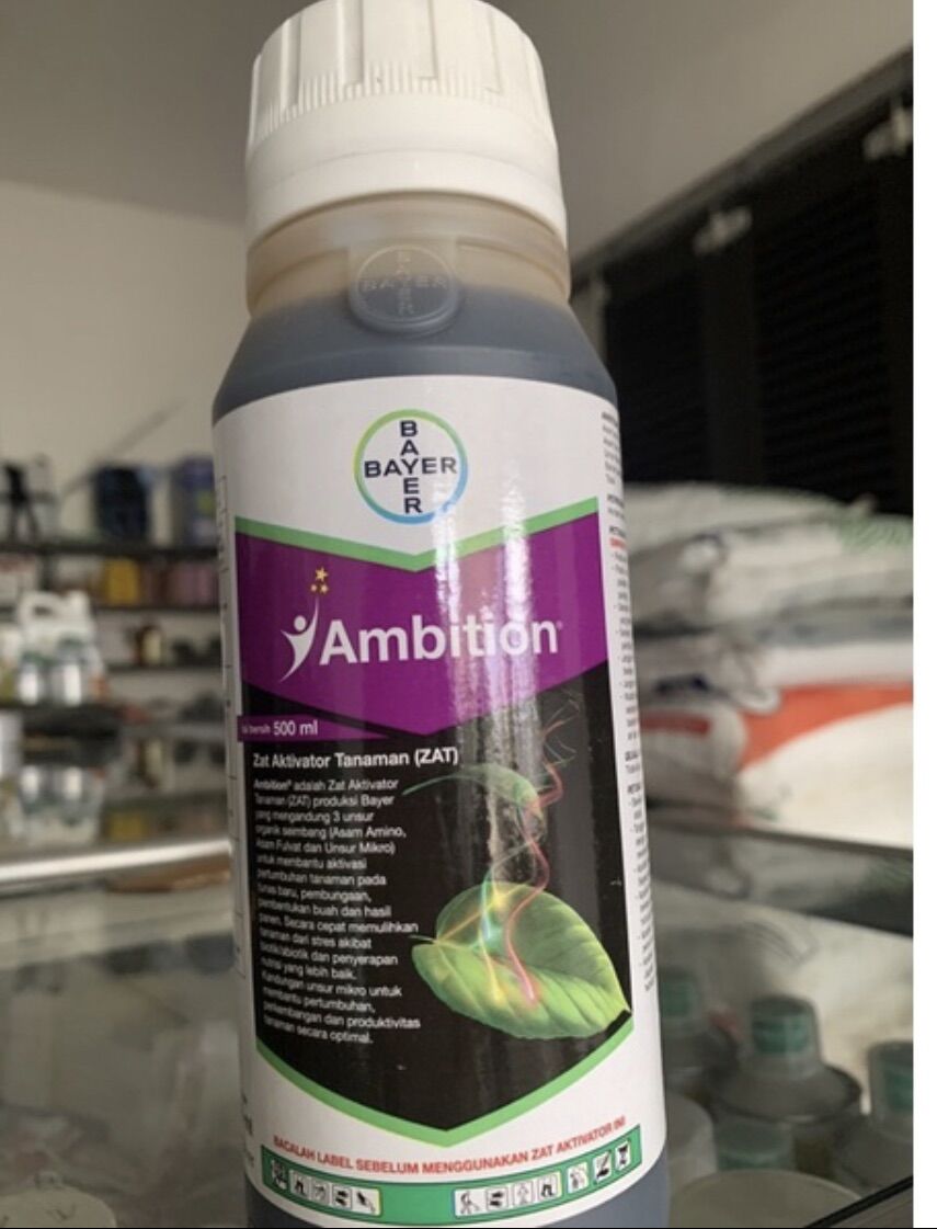 AMBITION 500 ML Zat Aktivator Tanaman (ZAT) Untuk Pertumbuhan ...