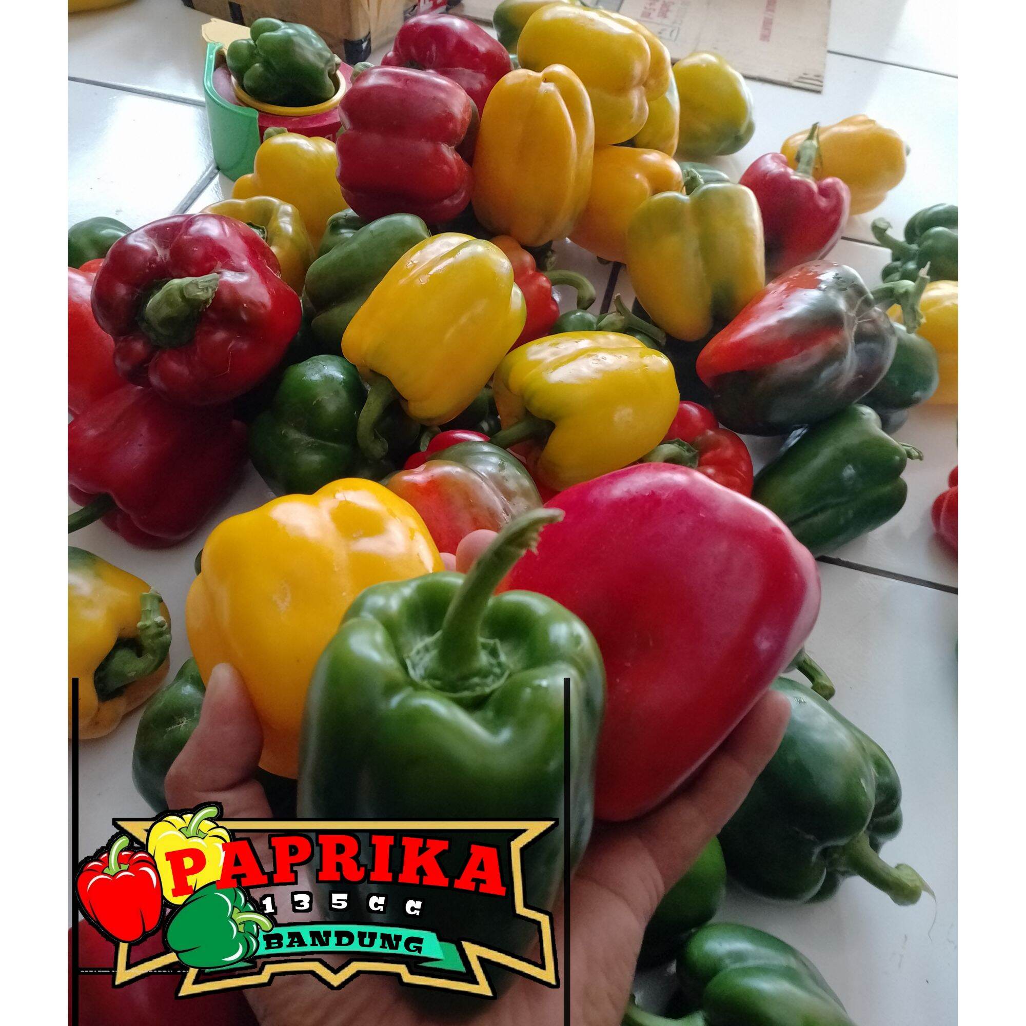 paprika super segar freshh 500gr langsung dari kebun | Lazada Indonesia
