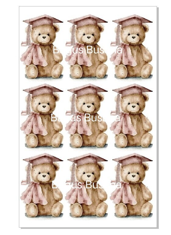 topper wisuda topper buket wisuda bear gambar wisuda karakter bear ...