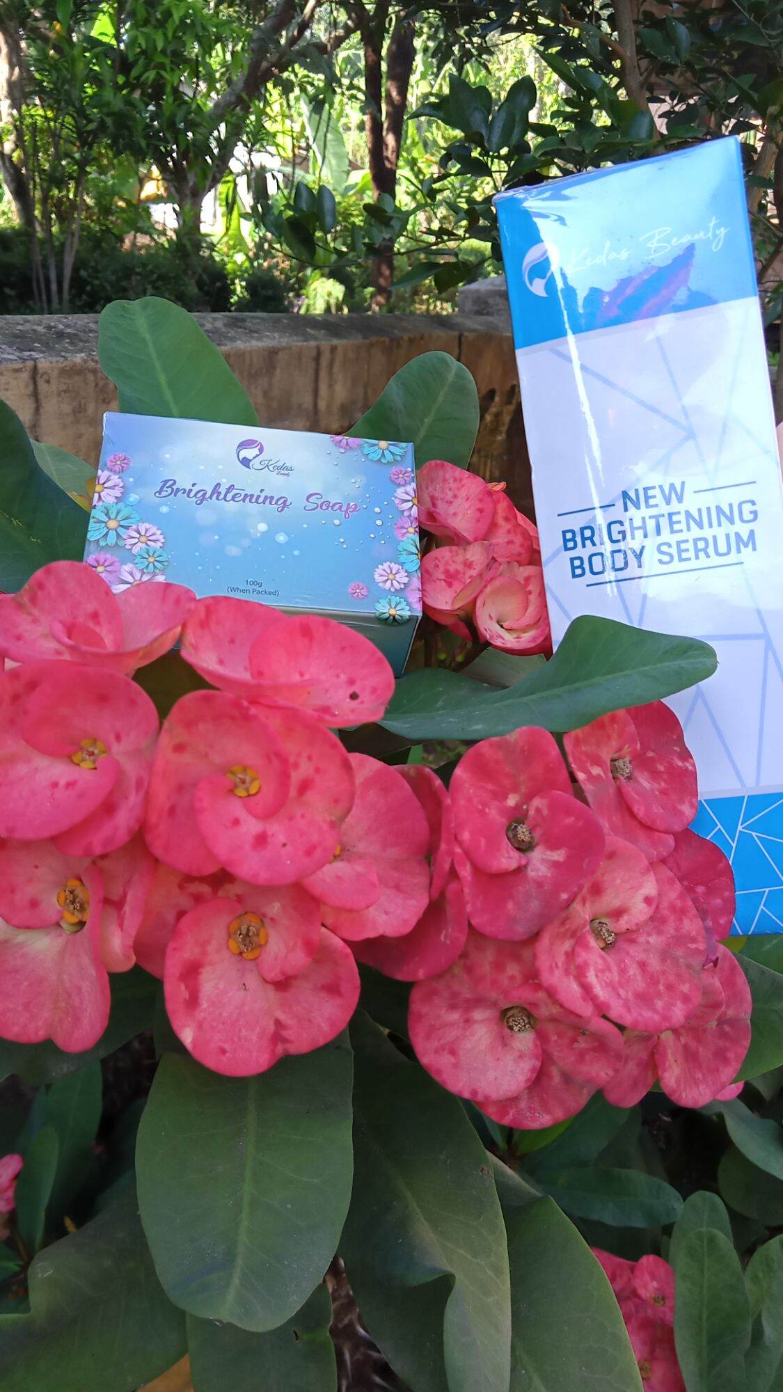 PAKET BADAN KEDAS BEAUTY ORI, HEMBODY SERUM 1 PIC, SABUN 1 PIC | Lazada ...