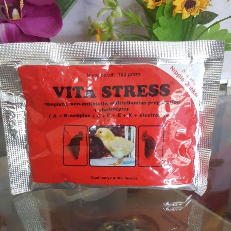 Vita Stress 100 gram | Lazada Indonesia