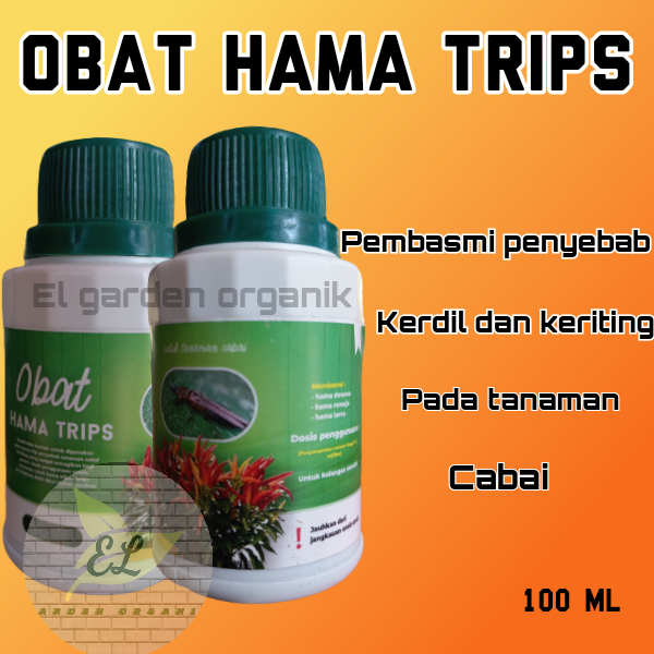 Obat Anti Hama Trips Atasi Hama trip kutu daun dan Serangga Bandel Pada ...