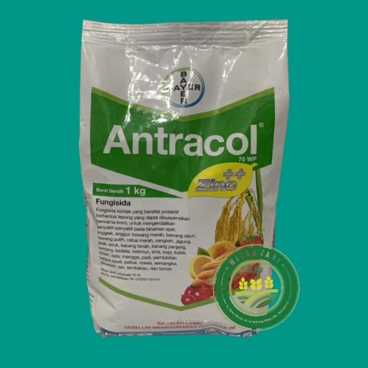 FUNGISIDA ANTRACOL 70 WP 1 KG | Lazada Indonesia