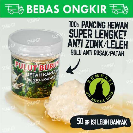 PULUT BURUNG GETAH KARET ASLI LEM SUPER LENGKET ANTI LEPAS PENJERAT ...
