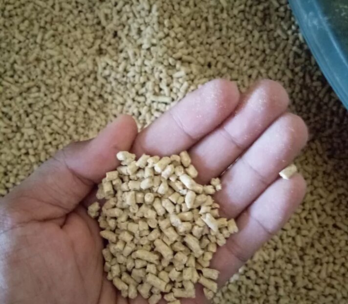 PUR BABI (PO2) harga per 1/2 kg | Lazada Indonesia