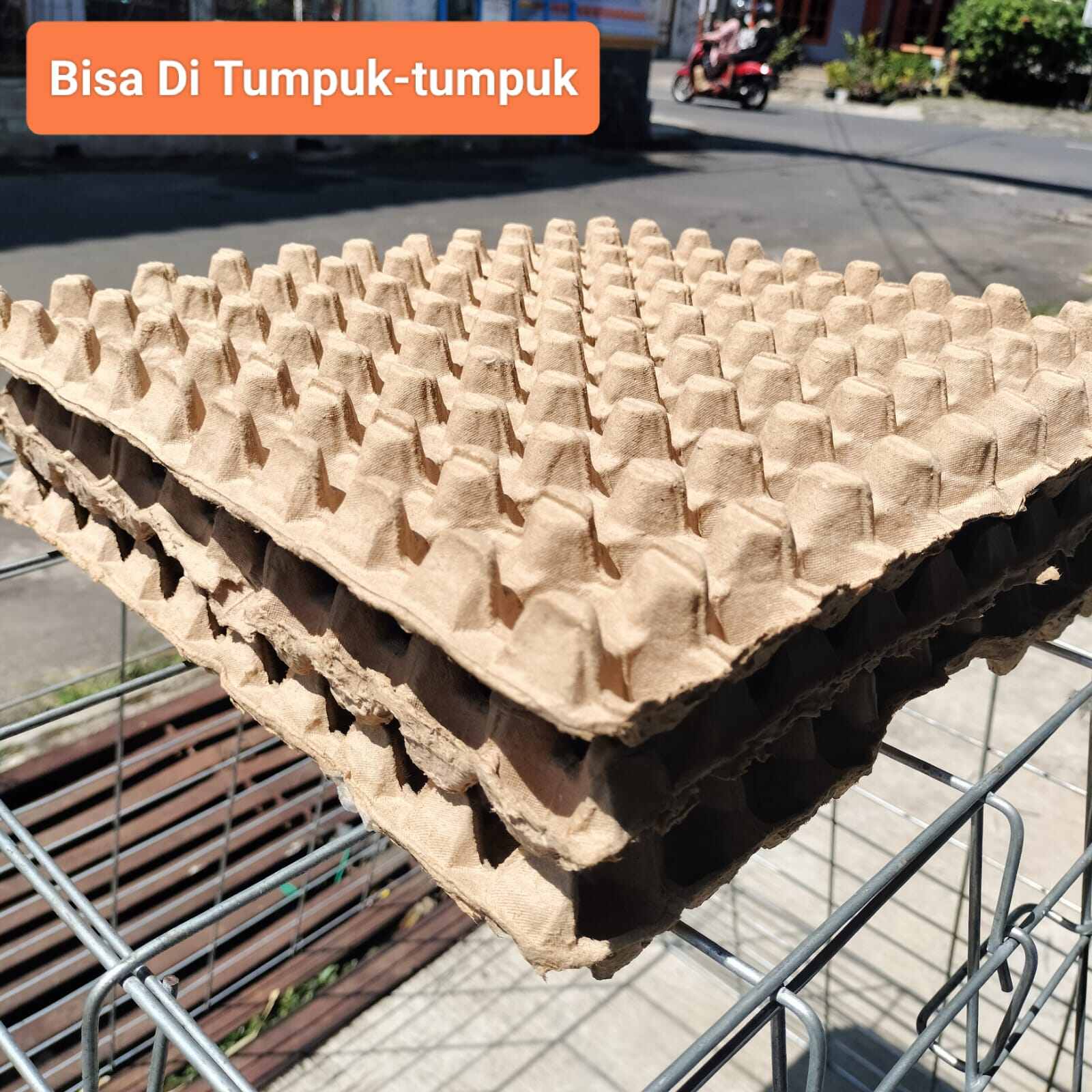 Egg tray Telur Puyuh 1 ikat isi 70 lembar (90 butir) | Lazada Indonesia