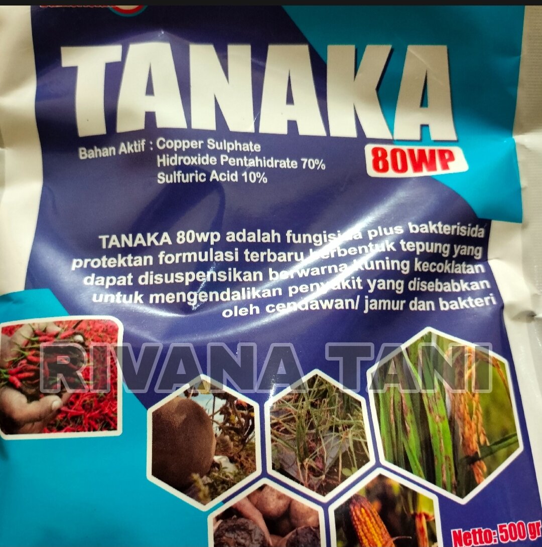 TANAKA 80WP FUNGISIDA DAN BAKTERISIDA Untuk Tanaman Haltikultura ...