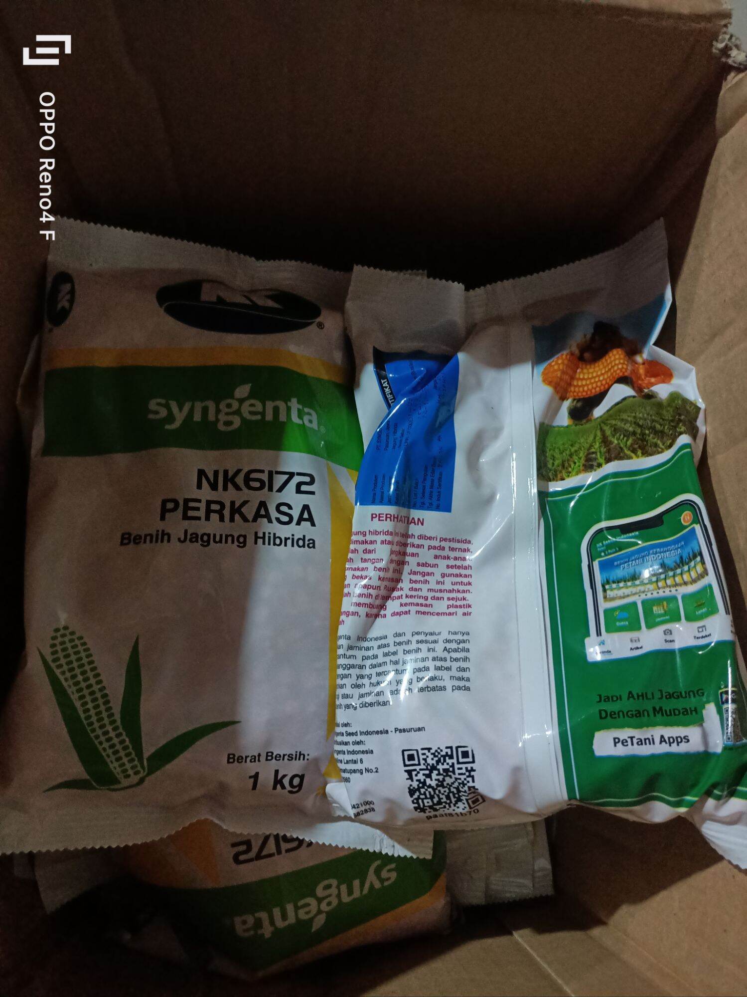 Benih jagung sygenta NK perkasa 1kg | Lazada Indonesia