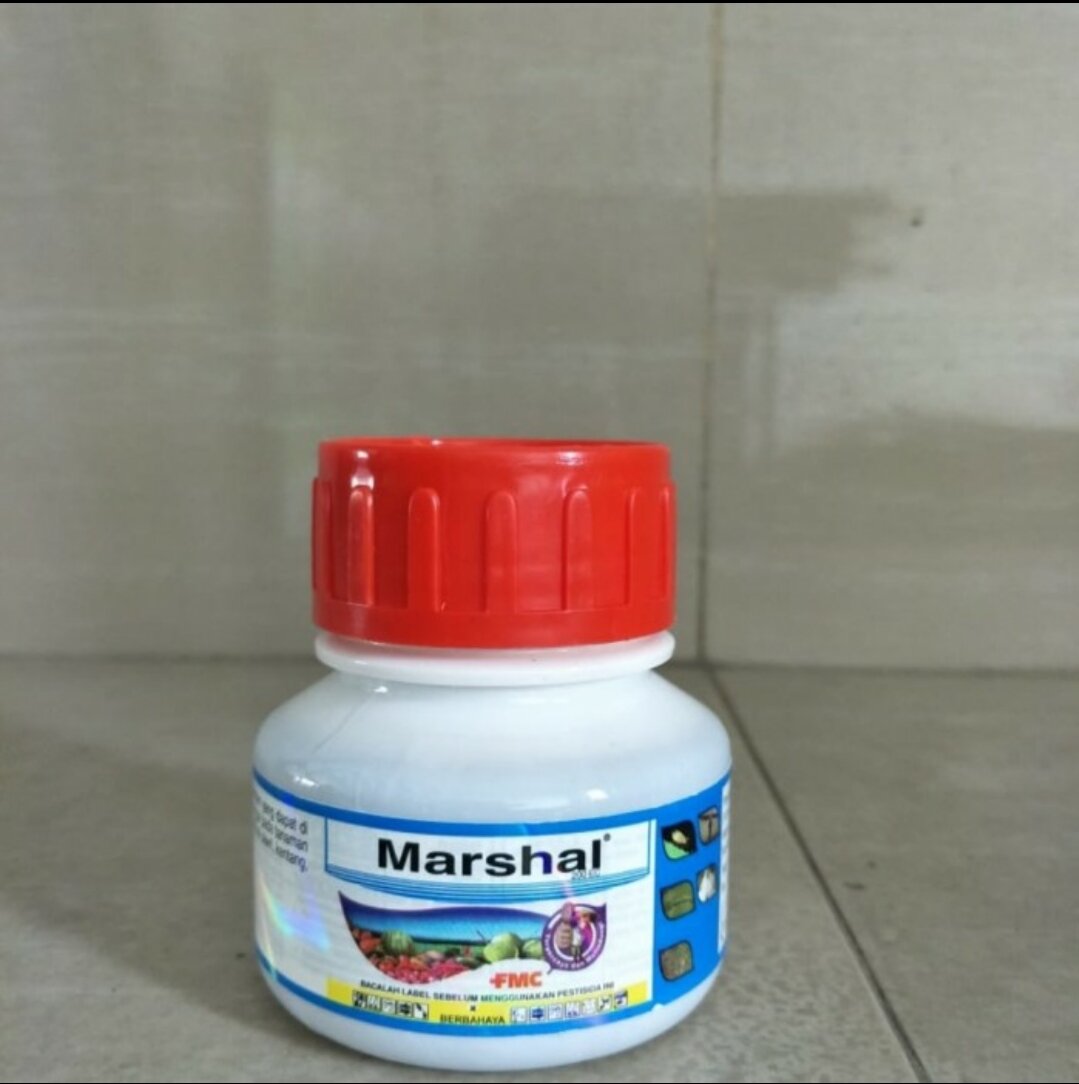 Insektisida Marshal 200ec 100ml | Lazada Indonesia