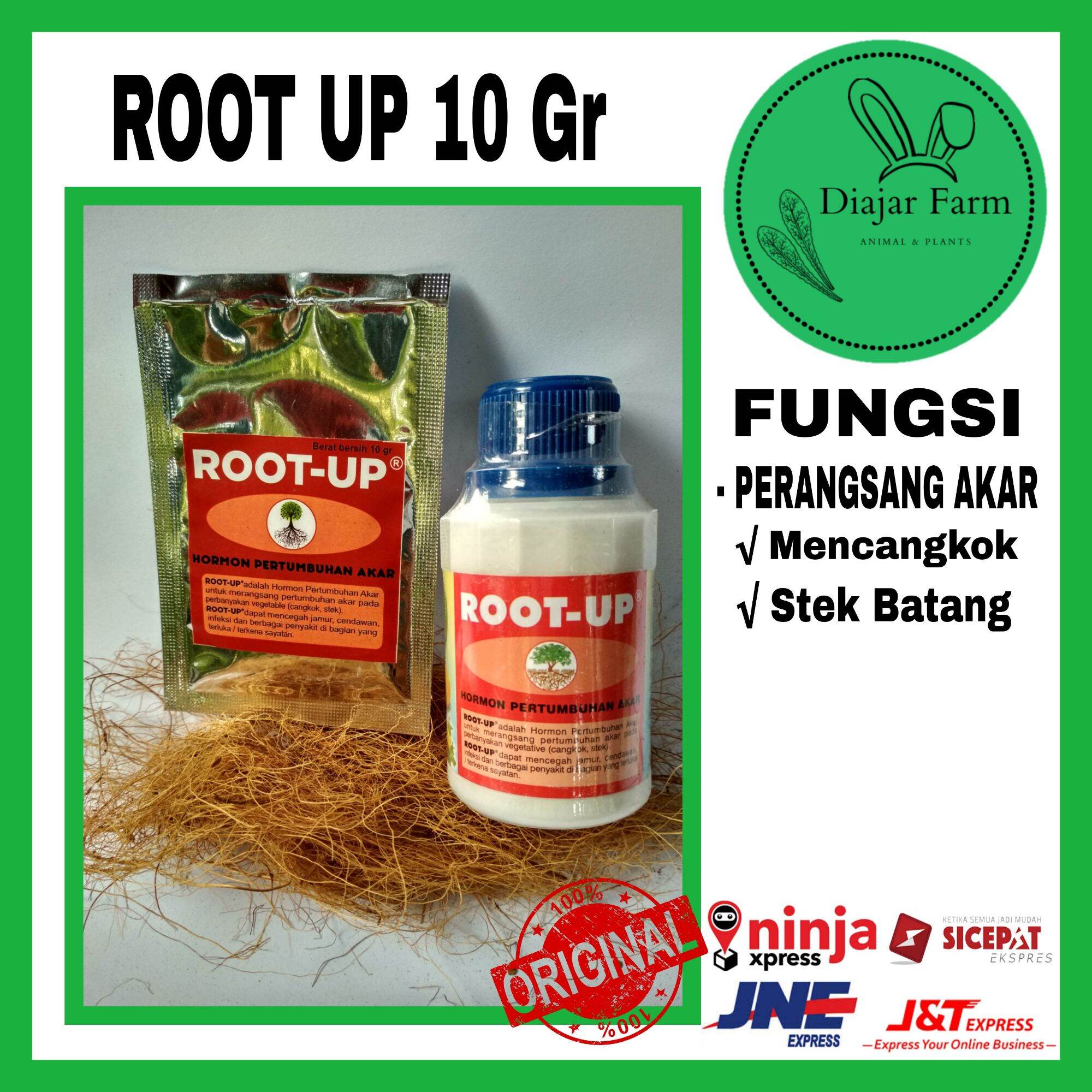 Root up Repack 10 gr Original Untuk Perangsang Akar mencangkok dan stek ...