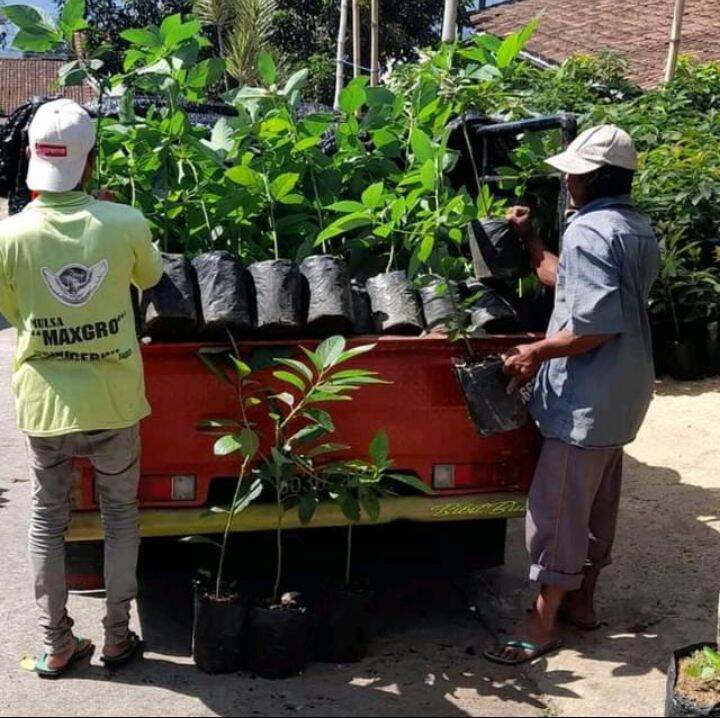 Agro bibit super Toko resmi di Indonesia, Online Shop 04 2025