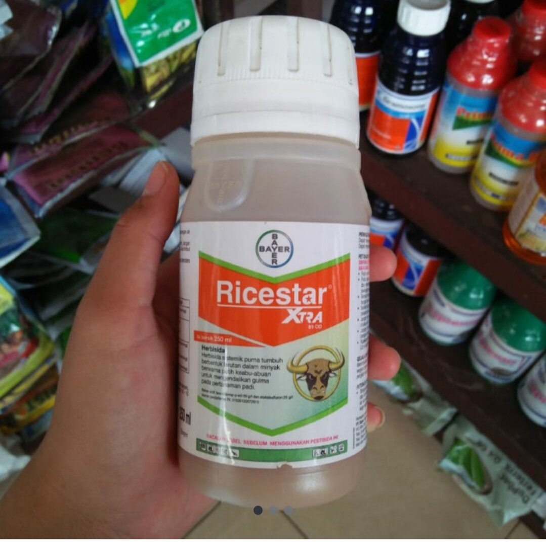 herbisida ricestar extra 250,ml (Banteng) | Lazada Indonesia
