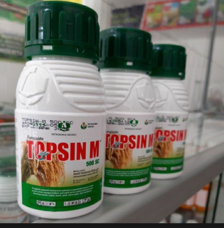 Topsin 500SC 200ml Fungisida Obat Pembasmi Jamur Pada Tanaman | Lazada ...