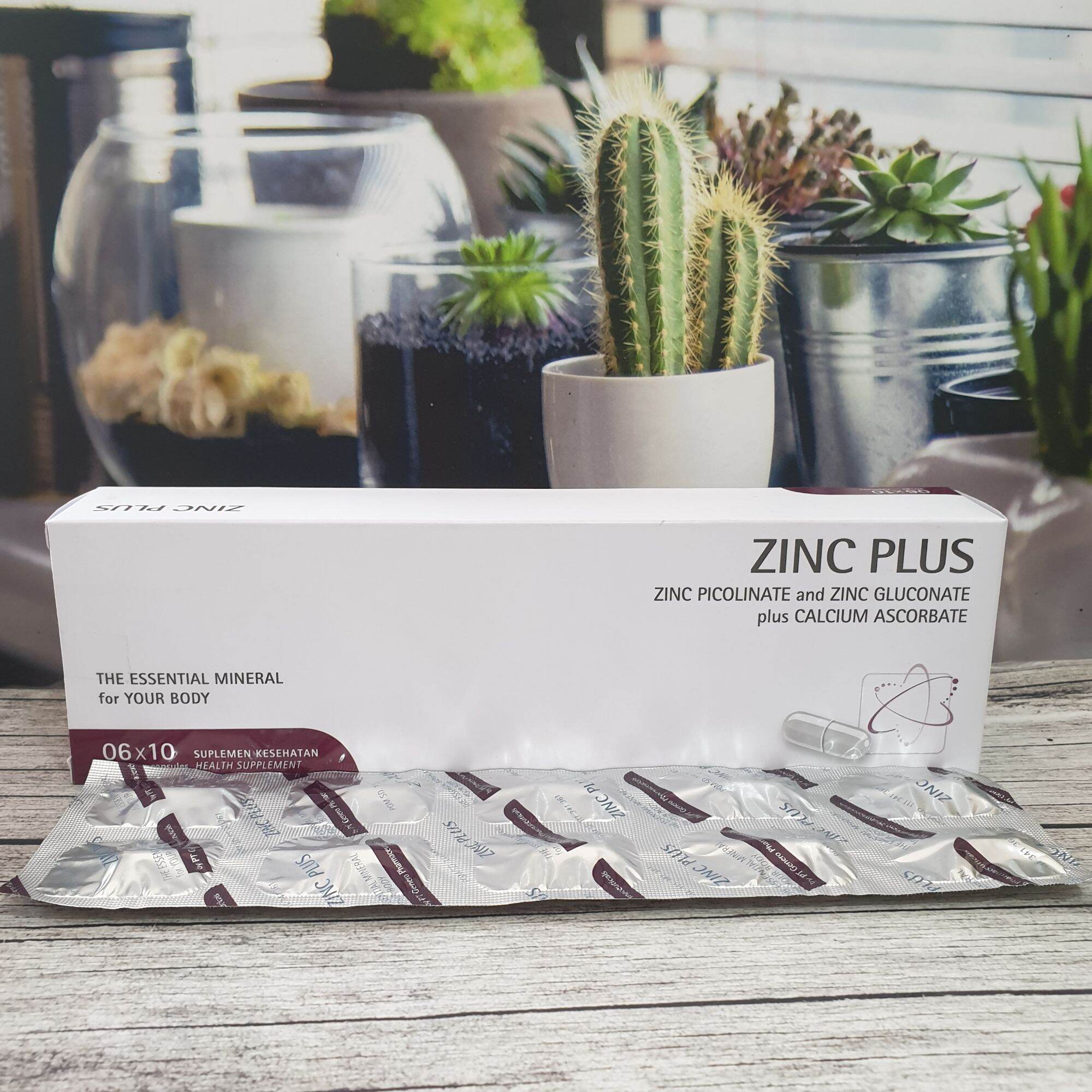 Zinc Plus Kapsul per 1 Strip 10s - Esensial Mineral Zinc Picolinate ...
