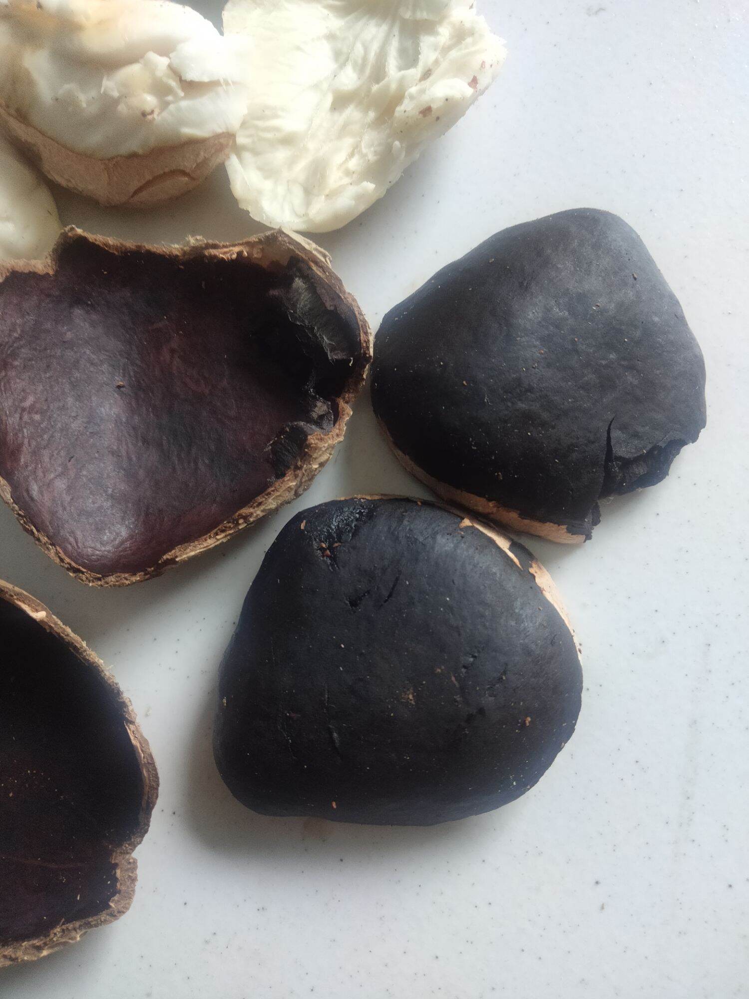 jual buah picung buah kulewek sudah dikupas musiman selagi ada segara ...