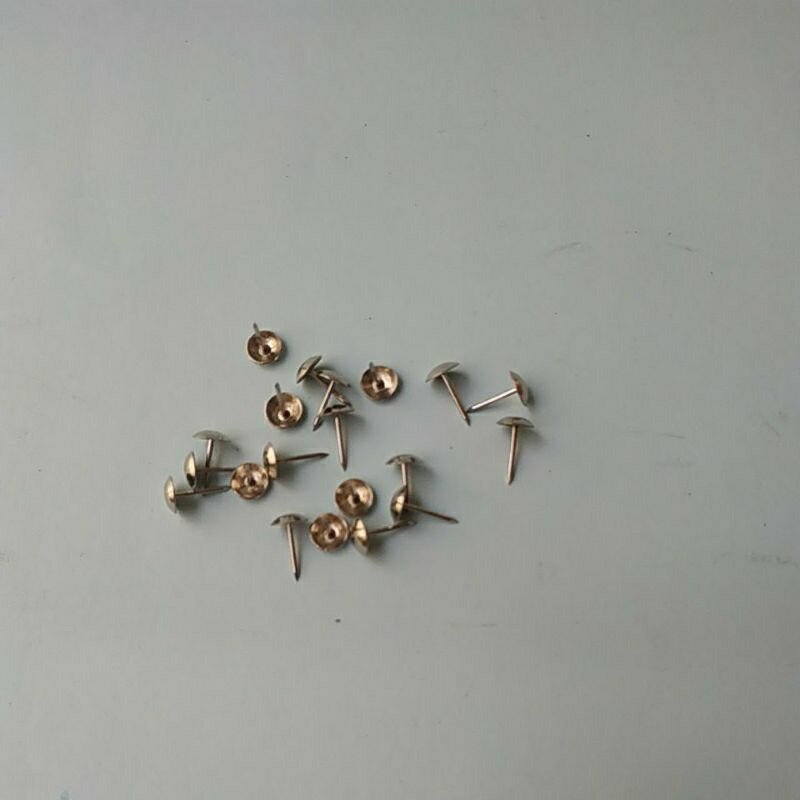 20 pc paku pines 5/8 (harga per 20pcs) | Lazada Indonesia