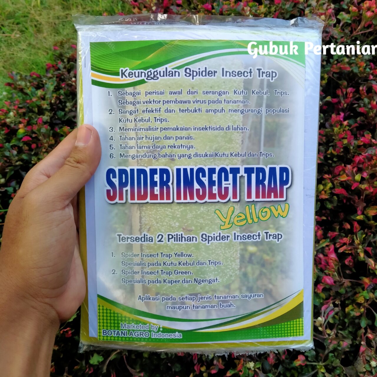 SPIDER INSECT TRAP Yellow Perekat Atau Perangkap Hama Tanaman Isi 20 ...