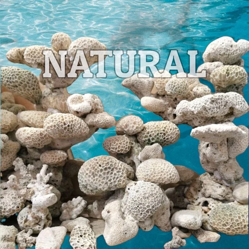 Batu karang laut / karang meteor natural alam hiasan aquarium 1kg ...
