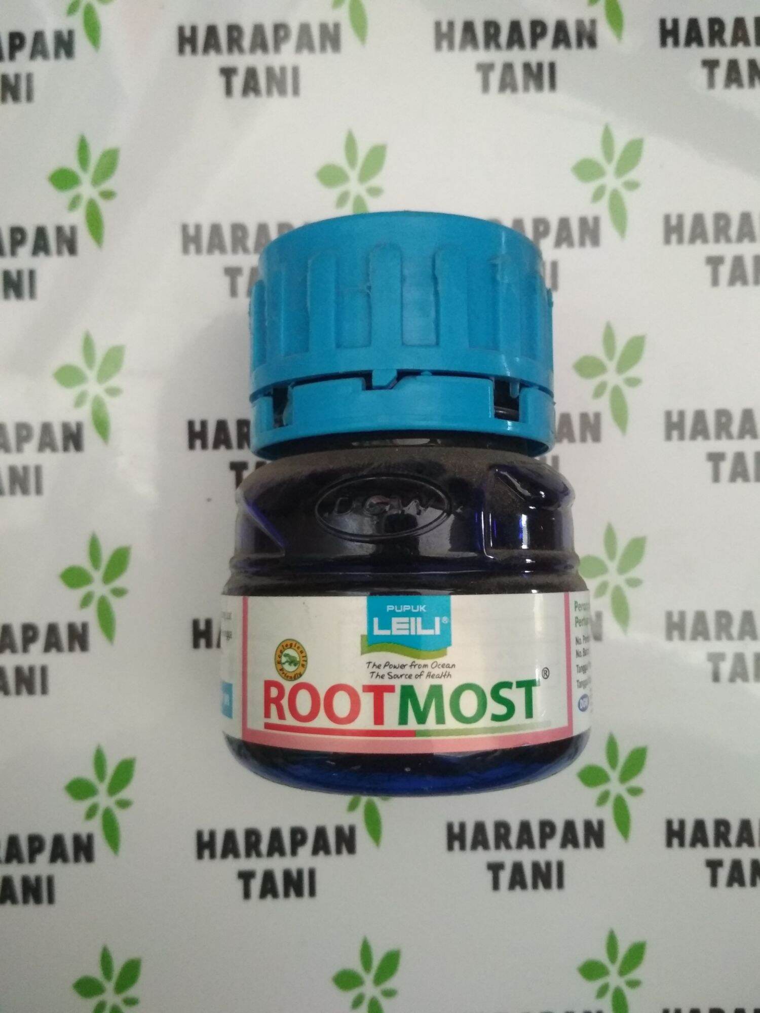 Rootmost - root most - ZPT - Hormon pertumbuhan - hormon - perangsang ...