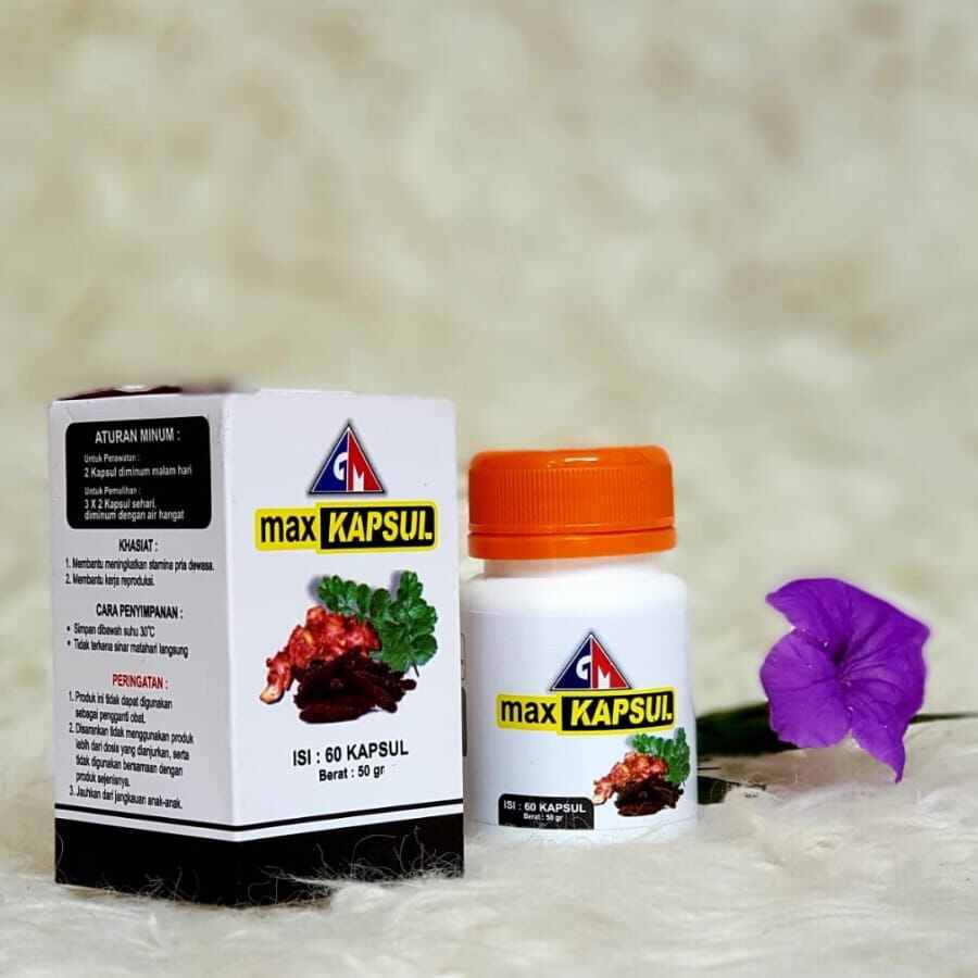 GM max kapsul Max kapsul isi 60 kapsul | Lazada Indonesia