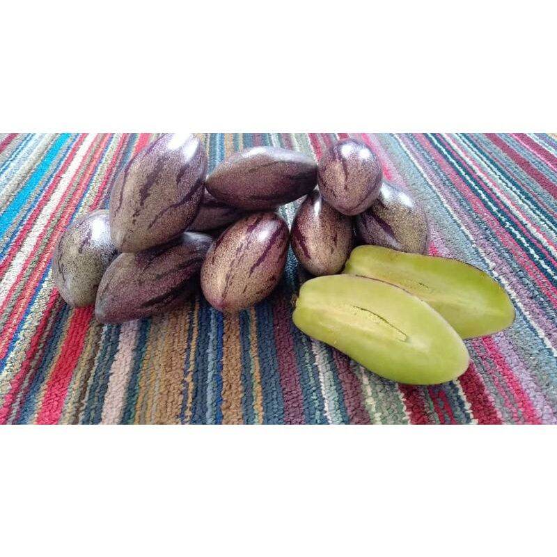 buah pepino fresh super 1 kg | Lazada Indonesia