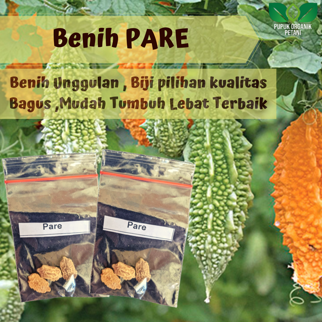 Benih pare biji unggulan kualitas bagus mudah tumbuh dan berbuah lebat ...