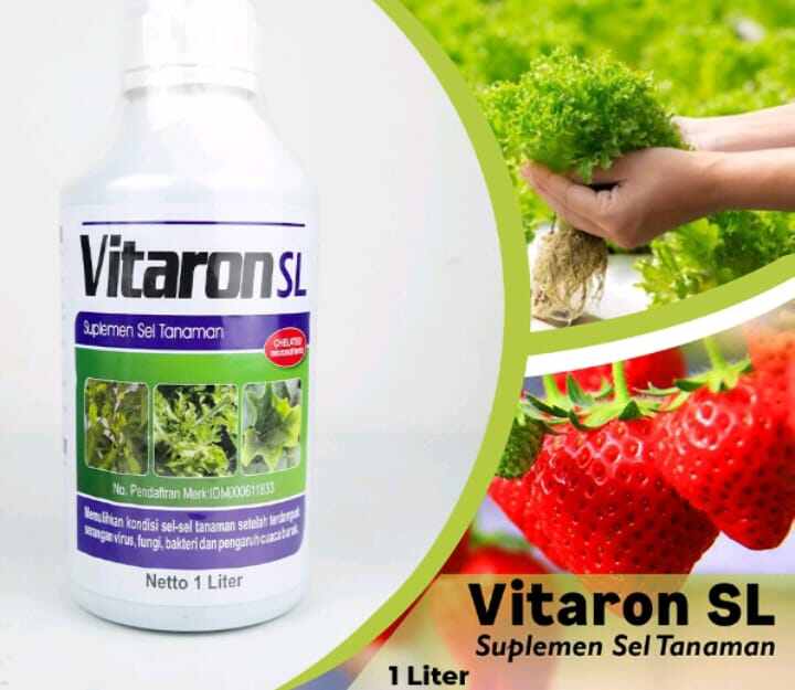 Vitaron SL Original Isi 250 ml - Meningkatkan pengolahan unsur-unsur ...