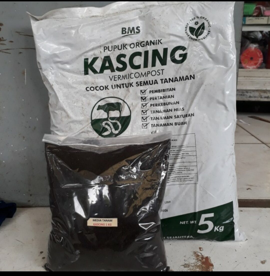 Pupuk organik kascing murni, kascing repack 1 kg, subur | Lazada Indonesia